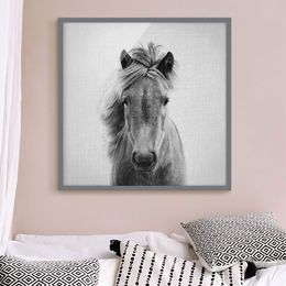 Bilderwelten Bild mit Rahmen Tiere schwarz weiss Motiv inkl. Rahmung - Pferd Pauline Schwarz Wei&szlig; - Pferde Kinderzimmer Baby M&auml;dchen Jungen