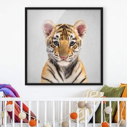 Bilderwelten Bild mit Rahmen Baby Tiger Thor