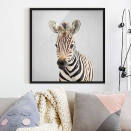 Bilderwelten Bild mit Rahmen Baby Zebra Zoey