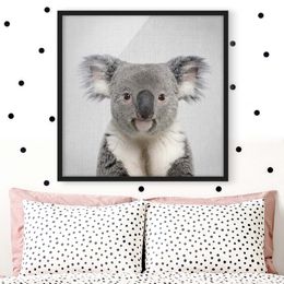 Bilderwelten Bild mit Rahmen Koala Klaus