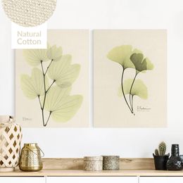Bilderwelten 2-teiliges Leinwandbild - mehrteilige Wandbilder - Bildergalerie - Bilderwand - X-Ray - Orchideenbaumbl&auml;tter & Ginko Blatt - Schlafzimmer Wohnzimmer