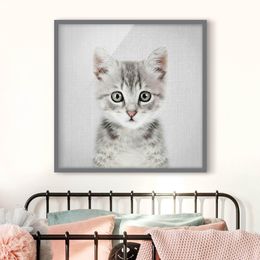 Bilderwelten Bild mit Rahmen Baby Katze Killi