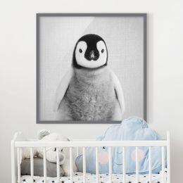 Bilderwelten Bild mit Rahmen Tiere schwarz weiss Motiv inkl. Rahmung - Baby Pinguin Pepe Schwarz Wei&szlig; - Deko Kinderzimmer Baby M&auml;dchen Jungen