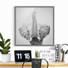 Bilderwelten Bild mit Rahmen Tiere schwarz weiss Motiv inkl. Rahmung - Elefant Ewald Schwarz Wei&szlig; - Elefant Kinderzimmer Baby M&auml;dchen Jungen