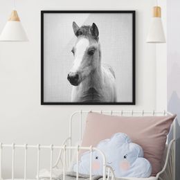 Bilderwelten Bild mit Rahmen Baby Pferd Philipp Schwarz Wei&szlig;