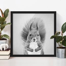 Bilderwelten Bild mit Rahmen Eichh&ouml;rnchen Elisabeth Schwarz Wei&szlig;