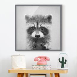 Bilderwelten Bild mit Rahmen Tiere schwarz weiss Motiv inkl. Rahmung - Baby Waschb&auml;r Wicky Schwarz Wei&szlig; - Deko Kinderzimmer Baby M&auml;dchen Jungen