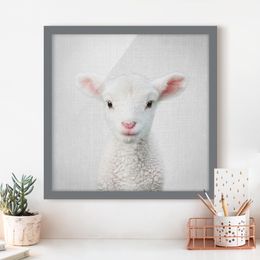 Bilderwelten Bild mit Rahmen Baby Lamm Lina