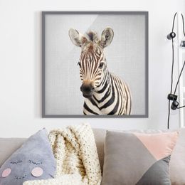 Bilderwelten Bild mit Rahmen Tiere schwarz weiss Motiv inkl. Rahmung - Baby Zebra Zoey - Zebra Kinderzimmer Baby M&auml;dchen Jungen