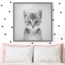 Bilderwelten Bild mit Rahmen Tiere schwarz weiss Motiv inkl. Rahmung - Baby Katze Killi Schwarz Wei&szlig; - Katze Kinderzimmer Baby M&auml;dchen Jungen