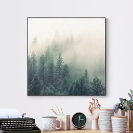 Wechselbild Wald im Nebel Erwachen