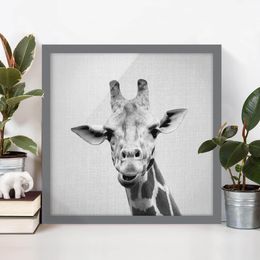 Bilderwelten Bild mit Rahmen Tiere schwarz weiss Motiv inkl. Rahmung - Giraffe Gundel Schwarz Wei&szlig; - Giraffen Kinderzimmer Baby M&auml;dchen Jungen