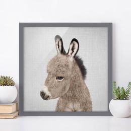 Bilderwelten Bild mit Rahmen Tiere schwarz weiss Motiv inkl. Rahmung - Esel Ernesto - Deko Kinderzimmer Baby M&auml;dchen Jungen