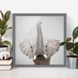 Bilderwelten Bild mit Rahmen Elefant Ewald