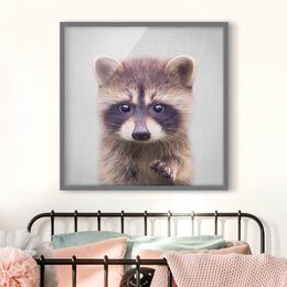 Bilderwelten Bild mit Rahmen Tiere schwarz weiss Motiv inkl. Rahmung - Baby Waschb&auml;r Wicky - Deko Kinderzimmer Baby M&auml;dchen Jungen