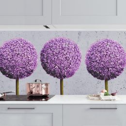 Bilderwelten Küchenrückwand selbstklebend violett Blumen modern - Allium Kugel-Blüten I - Wandfolie Spritzschutz nach Maß