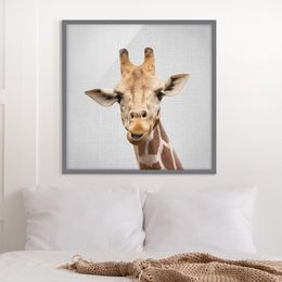 Bilderwelten Bild mit Rahmen Tiere schwarz weiss Motiv inkl. Rahmung - Giraffe Gundel - Giraffen Kinderzimmer Baby M&auml;dchen Jungen