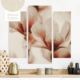 Bilderwelten Leinwandbild Blumen Motiv Kunstdruck rosa - Zarte Magnolienbl&uuml;ten im Lichtspiel - Wandbild XXL Wohnzimmer Schlafzimmer
