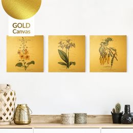 Bilderwelten Leinwandbild originell Vintage Aquarell beige - Botanisches Tableau Set I - Pflanzen XXL Wohnzimmer Schlafzimmer