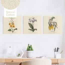 Bilderwelten Leinwandbild originell Vintage Aquarell beige - Botanisches Tableau Set I - Pflanzen XXL Wohnzimmer Schlafzimmer