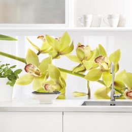 Bilderwelten Küchenrückwand selbstklebend weiss Blumen modern - Elegant Orchid Waters - Wandfolie Spritzschutz nach Maß