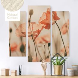 Bilderwelten Leinwandbild Motiv Kunstdruck rot - Mohnbl&uuml;ten im Sommerwind - Mohn XXL Wohnzimmer Schlafzimmer