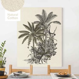 Bilderwelten Leinwandbild Tiere Vintage Kunstdruck Leinwanddruck - Vintage Illustration - Affen und Palmen - Pflanzen XXL Wohnzimmer Schlafzimmer