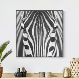 Wechselbild Zebra Look