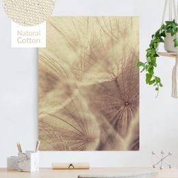 Bilderwelten Leinwandbild Detailreiche Pusteblumen Makroaufnahme mit Vintage Blur Effekt