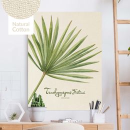 Bilderwelten Leinwandbild Aquarell Botanik Trachycarpus fortunei
