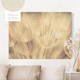 Bilderwelten Leinwandbild Pusteblumen Nahaufnahme in wohnlicher Sepia T&ouml;nung