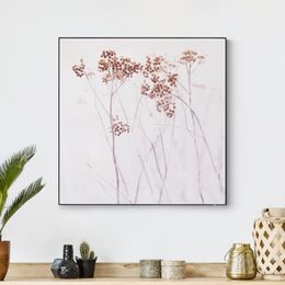 Wechselbild Isl&auml;ndische Wildblumen