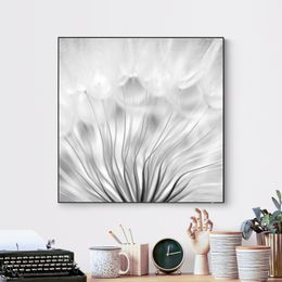 Wechselbild Traumhafte Pusteblume Schwarz-Wei&szlig;