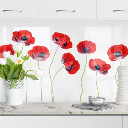 Bilderwelten K&uuml;chenr&uuml;ckwand Marienk&auml;fer Mohnblumen II
