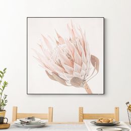 Wechselbild Protea K&ouml;nigin der Bl&uuml;ten
