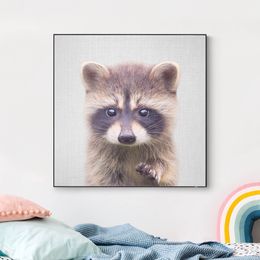 Wechselbild Baby Waschb&auml;r Wicky
