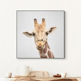 Wechselbild Giraffe Gundel