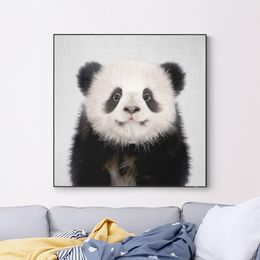 Wechselbild Baby Panda Prian