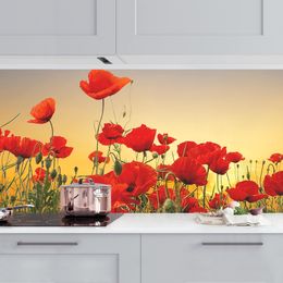 Bilderwelten K&uuml;chenr&uuml;ckwand selbstklebend rot Blumen Motiv - Mohnblumenfeld im Sonnenuntergang - Wandfolie Spritzschutz nach Ma&szlig;