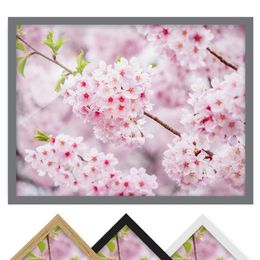 Bilderwelten Bild mit Rahmen Japanische Kirschbl&uuml;ten
