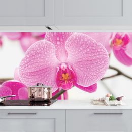 Bilderwelten Küchenrückwand selbstklebend pink Blumen Motiv - Nahaufnahme Orchidee - Wandfolie Spritzschutz nach Maß