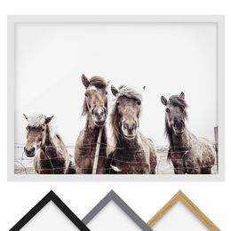 Bilderwelten Bild mit Rahmen Tiere braun Motiv inkl. Rahmung - Island Pferde - Pferde Wohnzimmer Schlafzimmer