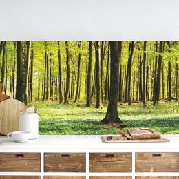 Bilderwelten Küchenrückwand selbstklebend grün Wald modern - Waldwiese I - Bäume Spritzschutz nach Maß