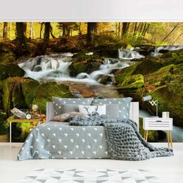 Bilderwelten Fototapete Wald Motiv Wandtapete gr&uuml;n - Wasserfall herbstlicher Wald - B&auml;ume Wohnzimmer Schlafzimmer