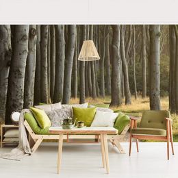 Bilderwelten Fototapete Wald Motiv Wandtapete beige - Waldweg in Norddeutschland - B&auml;ume Wohnzimmer Schlafzimmer