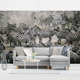 Bilderwelten Fototapete Tiere Motiv Wandtapete schwarz weiss - Zebraherde - Zebra Wohnzimmer Schlafzimmer