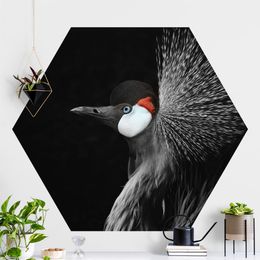 Bilderwelten Hexagon Tapete Tiere Motiv Wandtapete gr&uuml;n - Schwarzer Kronenkranich - V&ouml;gel Wohnzimmer Schlafzimmer