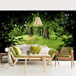 Bilderwelten Fototapete Wald modern 3D-Effekt gr&uuml;n - Verborgene Lichtung - B&auml;ume Wohnzimmer Schlafzimmer