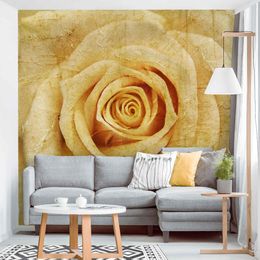 Bilderwelten Fototapete Blumen Vintage Wandtapete einzigartig - Vintage Rose - Rose Wohnzimmer Schlafzimmer