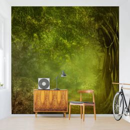 Bilderwelten Fototapete Waldspaziergang